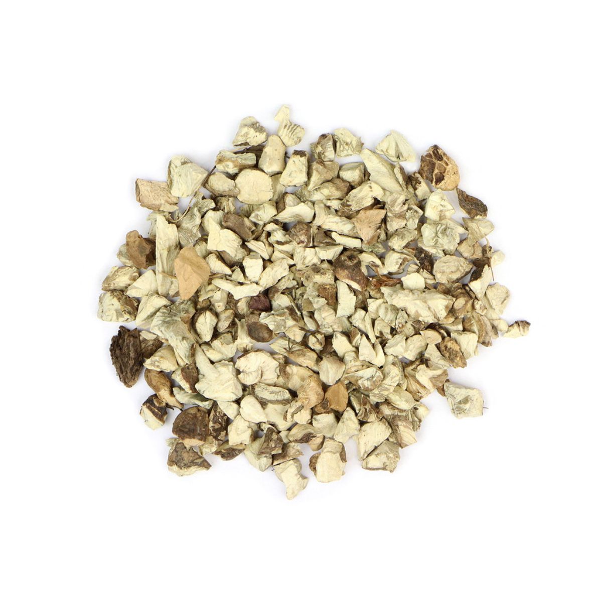 Stone Root – Hanna's Herb Shop